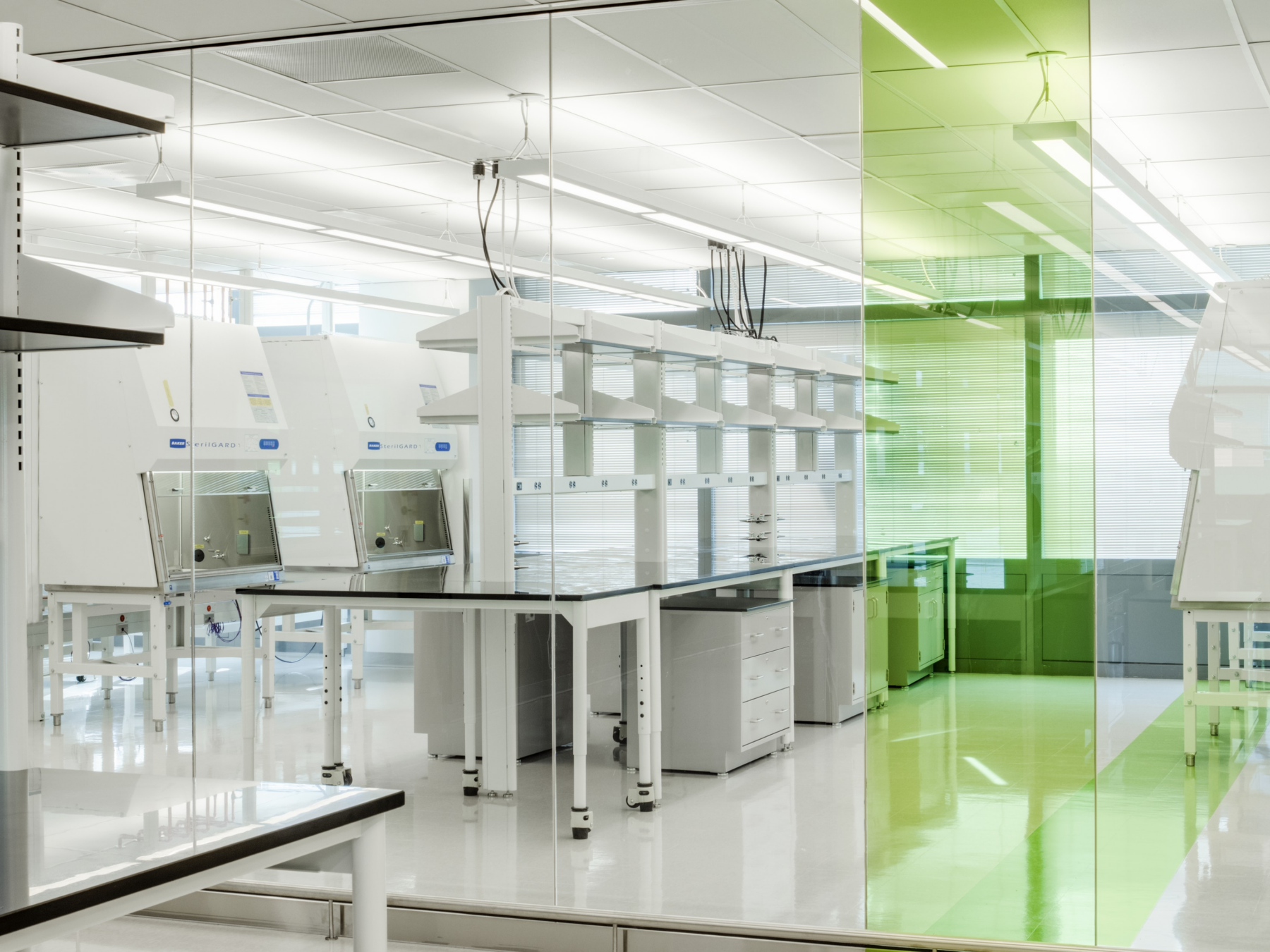 Biogen - Bio6A 5&6 Lab Renovation - Commodore Builders